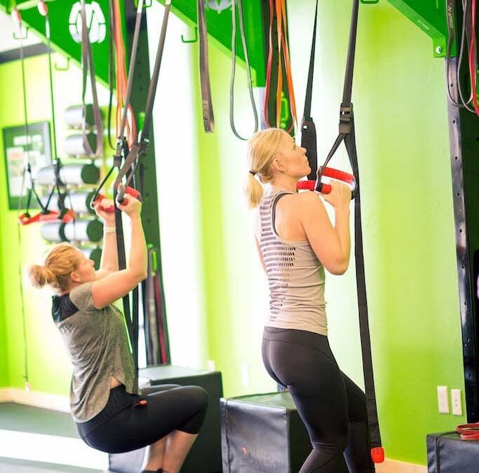 Group Exercise What Are The 8 Major Muscle Groups 1 Kvell Fitness
